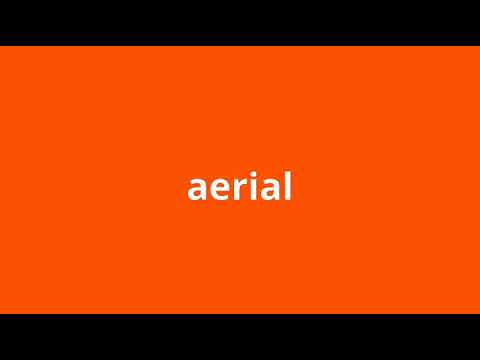 what is the meaning of aerial.
