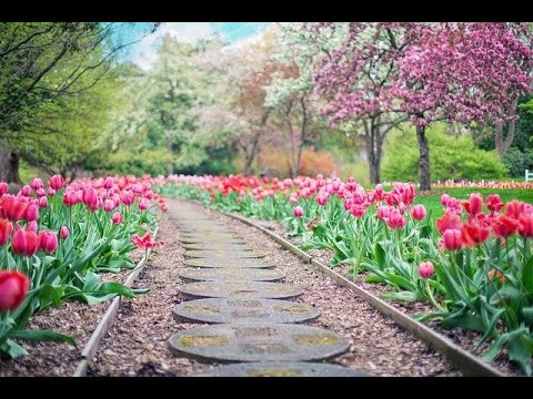 COMO SE DICE PRIMAVERA EN INGLÉS. How do it say spring in spanish