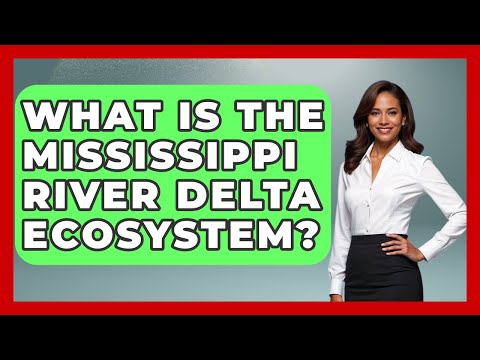 What Is The Mississippi River Delta Ecosystem? - The Geography Atlas