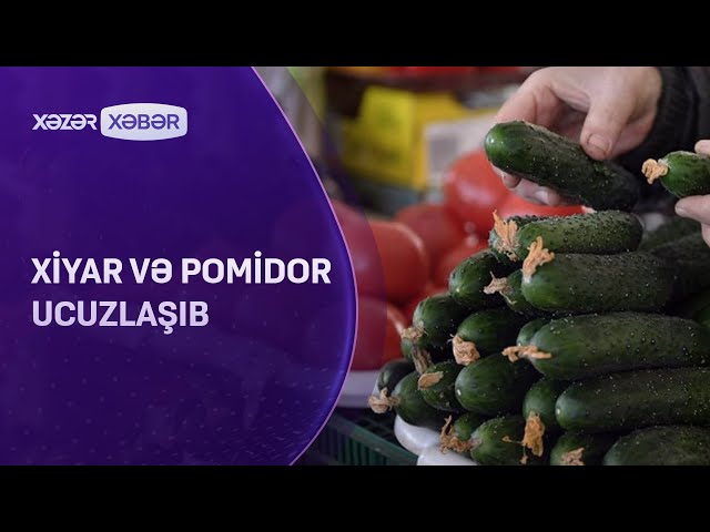Xiyar və pomidor ucuzlaşıb - Oxu.az