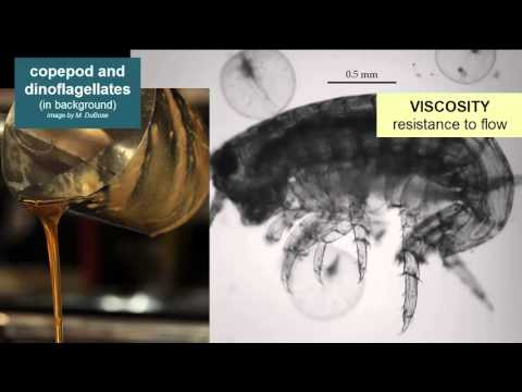 Light, Viscosity, & Pressure in the Oceans