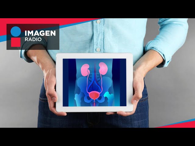 ¿Cómo detectar problemas en la próstata? ¡Bien y Saludable!