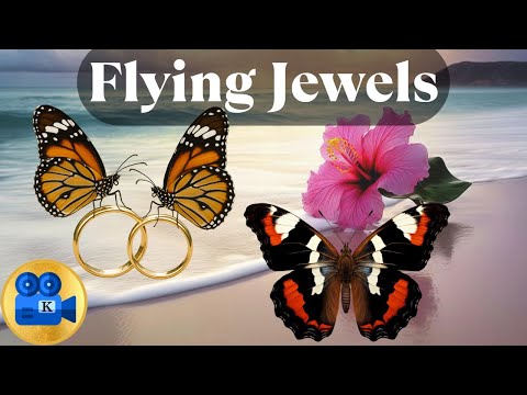 Butterflies: Nature’s Fragile Artists of Colorful, Silent Transformation