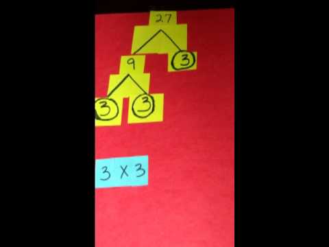 Prime factorization movie