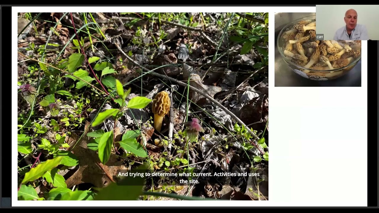 ARP-Forest Farming webinar -restoring a 7000 ac former coalmine in Eastern Kentucky