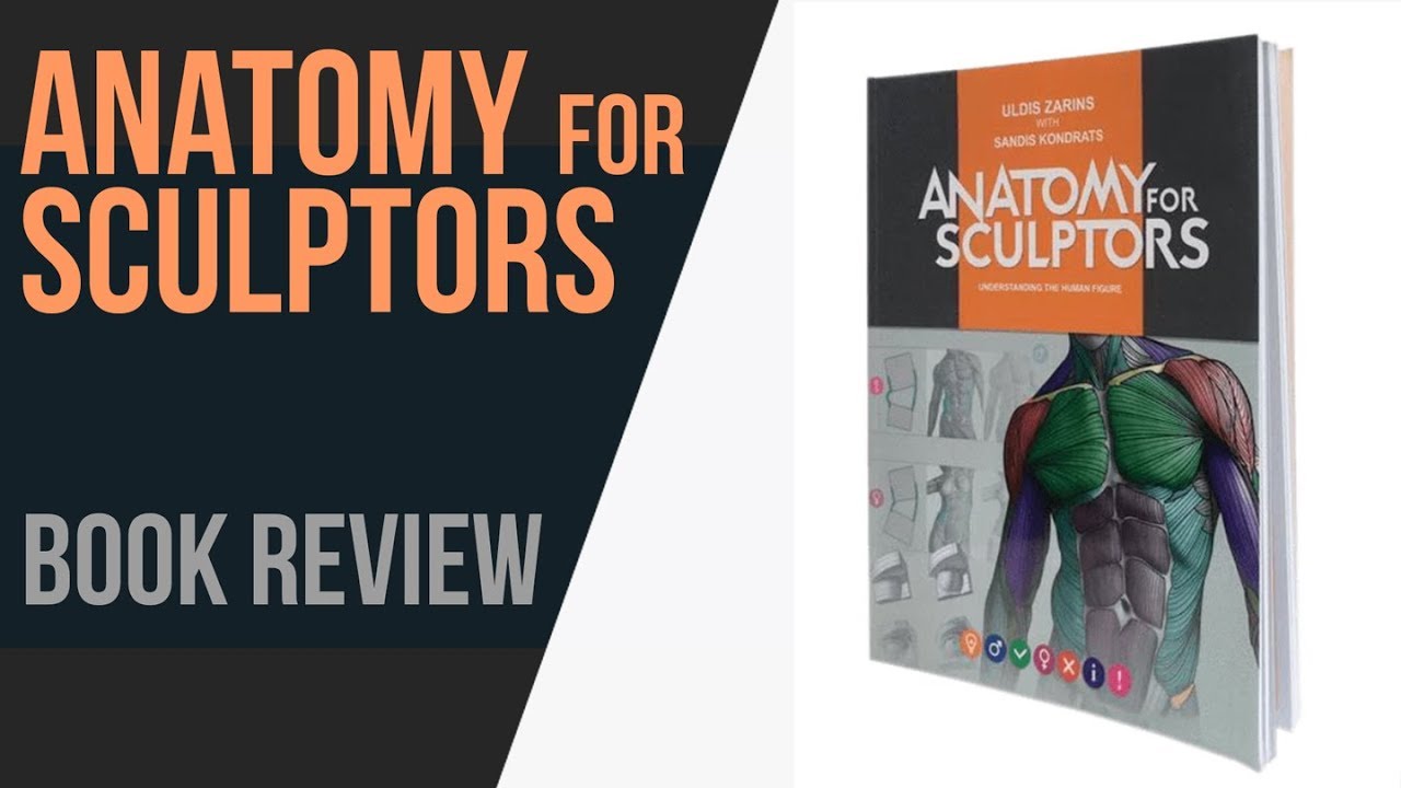 Anatomy for Sculptors - Reference Book Review