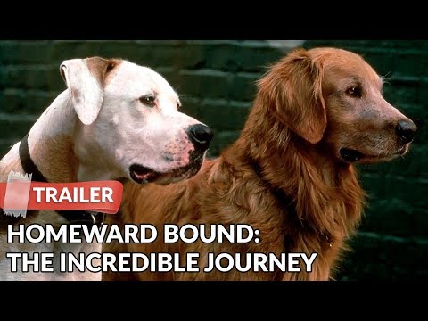 Homeward Bound: The Incredible Journey (1993) Trailer HD | Michael J. Fox | Sally Field