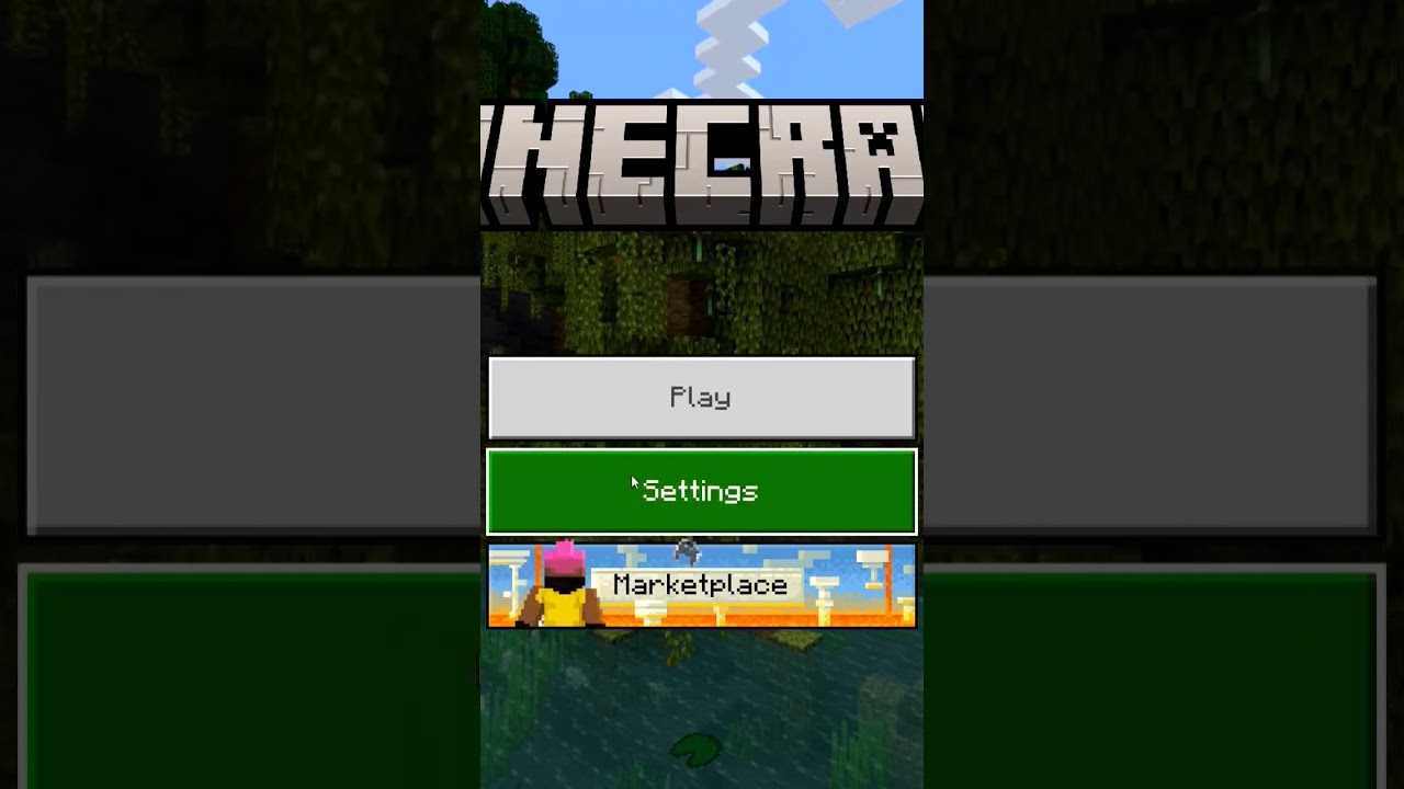 you can't play multiplayer in Minecraft