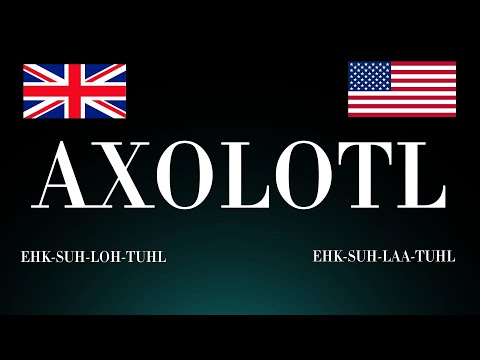 Learn How to Pronounce 'Axolotl' Correctly: UK vs USA (Animal Pronunciation)