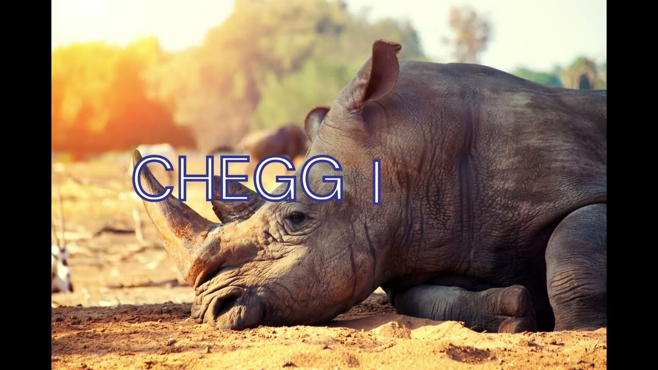 Chegg Solution Submit Problem Solved (Improvement Solution)