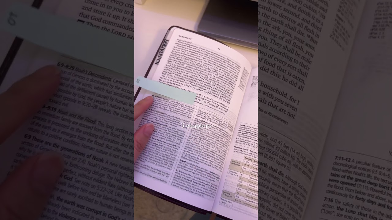 This is the ONE bible reading plan you need 📖