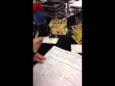 MR VP test