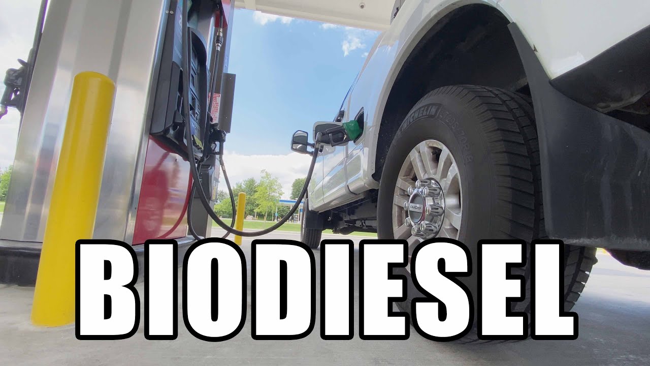 The Problem With Biodiesel That No One Talks About
