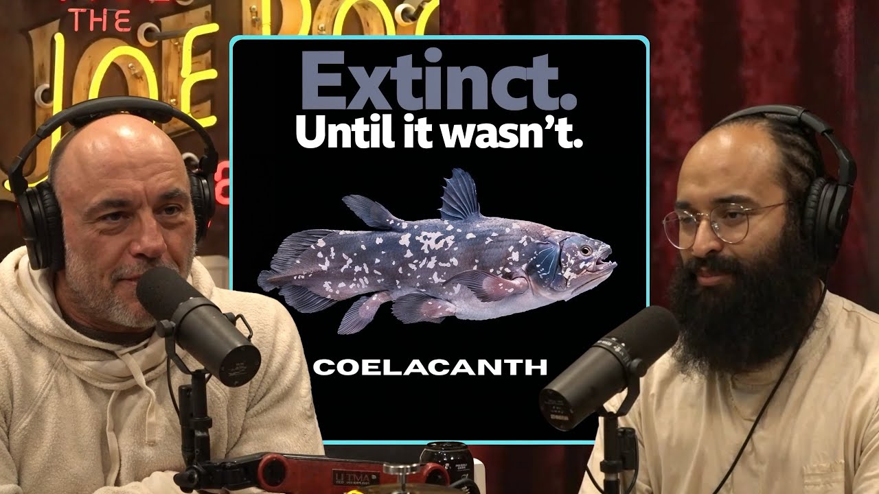 The Coelacanth Is A 400 Million Year Old Fish That Still Exists | Joe Rogan & Ehsan Ahmad 