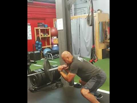 Landmine Linear Jammer | myworkouts.io