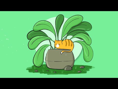 Fresh Day βοΈ Music to put you in a better mood - Lofi hiphop mix