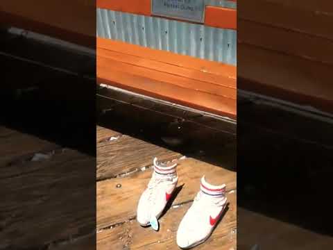 Forrest Gump's Bench At Bubba Gump's Shrimp Co. On The Santa Monica Pier