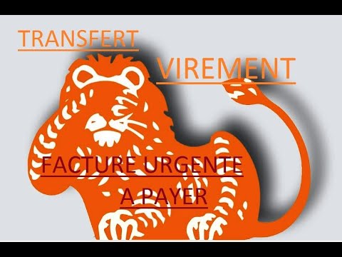 ING BANQUE "VRT INSTANTANÉ INDISPONIBLE"