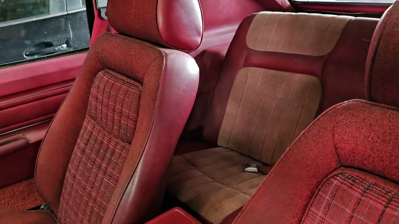 Mostly 1980 Mustang Cobra interior