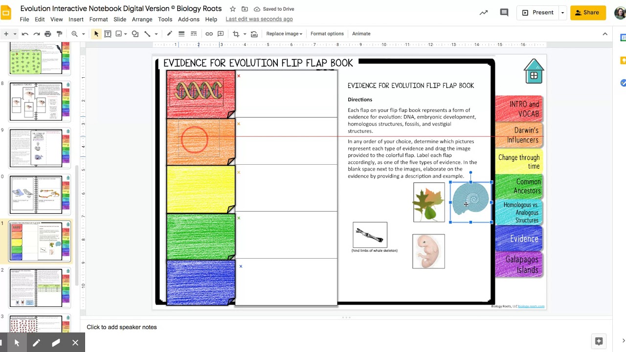 Evolution Interactive Notebook Digital Version © Biology Roots - Google Slides