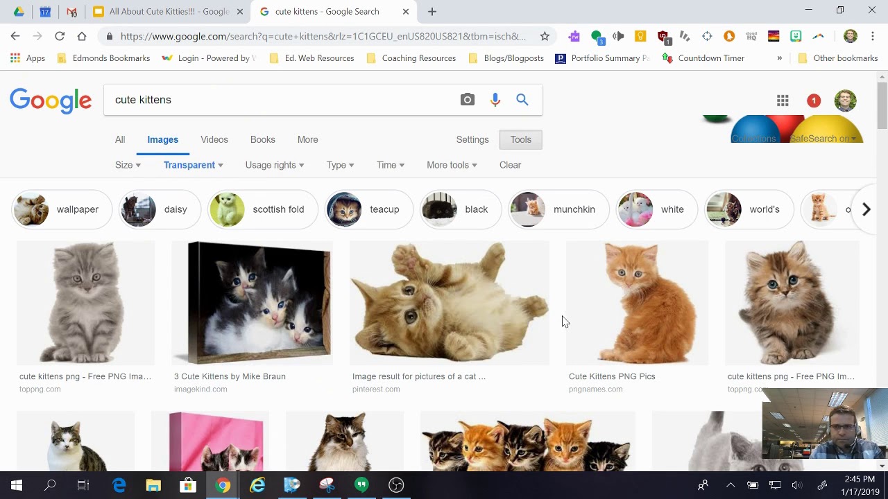 Find Pictures with Transparent Backgrounds