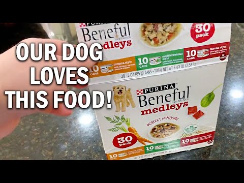 Purina Beneful Wet Dog Food Review - No More Upset Stomach after Switching