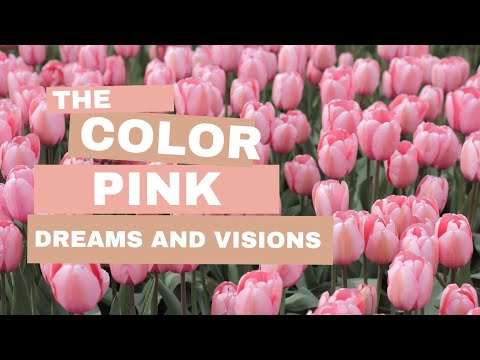 💕Pink in Dreams and Visions🩷