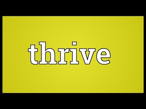 Thrive Meaning