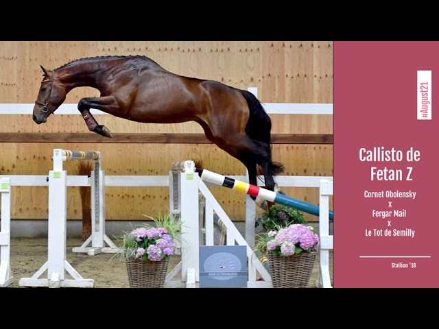 Callisto Horse What To Name Your Horse | LIST: Horse Names | Maya