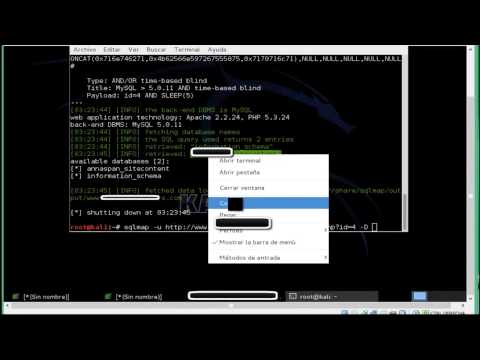 Sql Injection paso a paso con Kali linux | Administración de sistemas ...