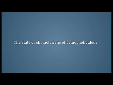 Meticulousness Meaning