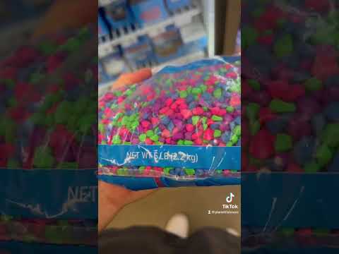Do NOT Buy Colorful Aquarium Gravel | #fish #fishtank #pets #shorts #aquarium