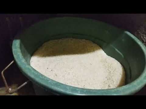 menghitung ,menakar beras 1 kg dg gelas/kaleng untuk memasak nasi