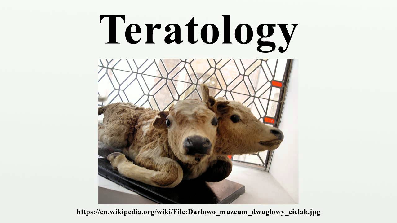 Teratology
