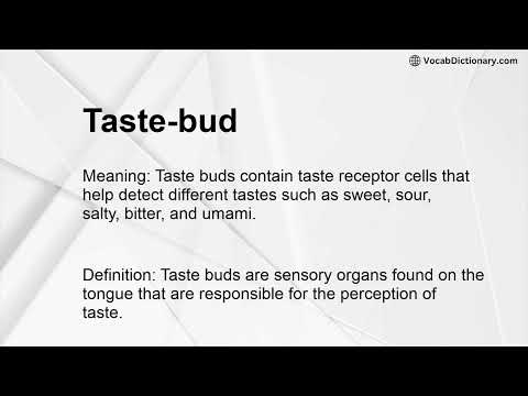 Taste-bud Meaning