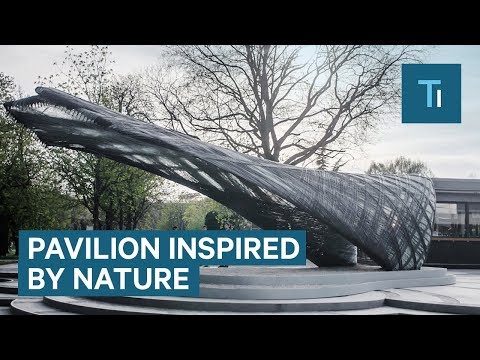 Students And Researchers Built A Pavilion Out Of Carbon Fiber Using Robots