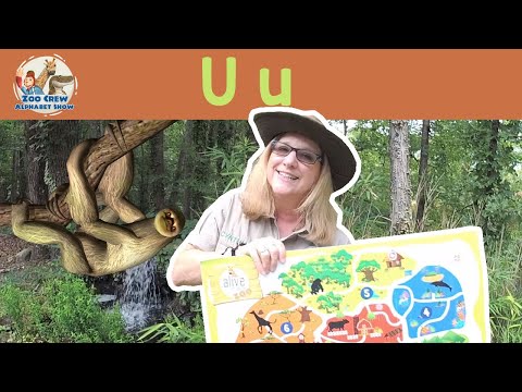 Learn about the Letter U and Unaus | Zoo Crew Alphabet Show EP:21