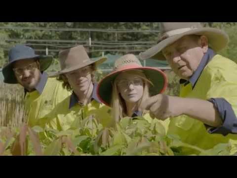 Local People, Local Projects – James