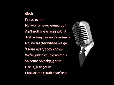Nickelback - Animals (lyrics)