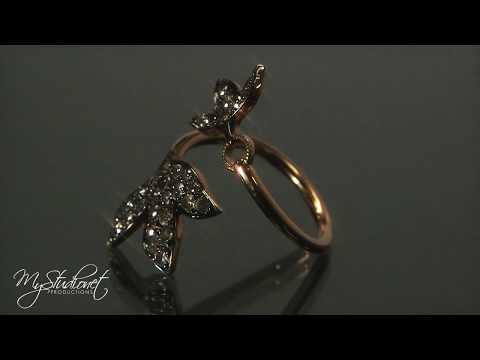 Basic Ring 360 Video Shot by Canon C100