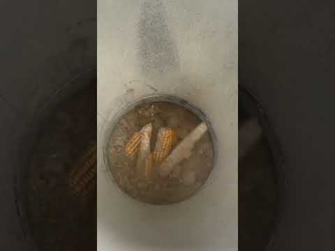 durable feed pellet machine for animal and poultry #farming #machine #agriculture #food #pigfeed