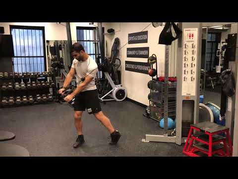 Ab Workouts Gym | Cable Exercises