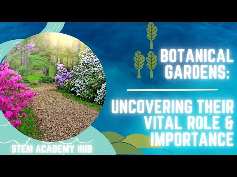 Discover the World of Botanical Gardens: Uncovering Their Vital Role & Importance