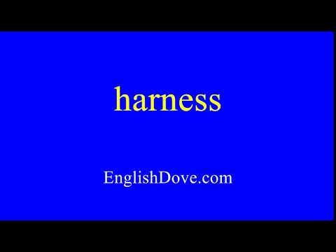 How to pronounce harness in American English.