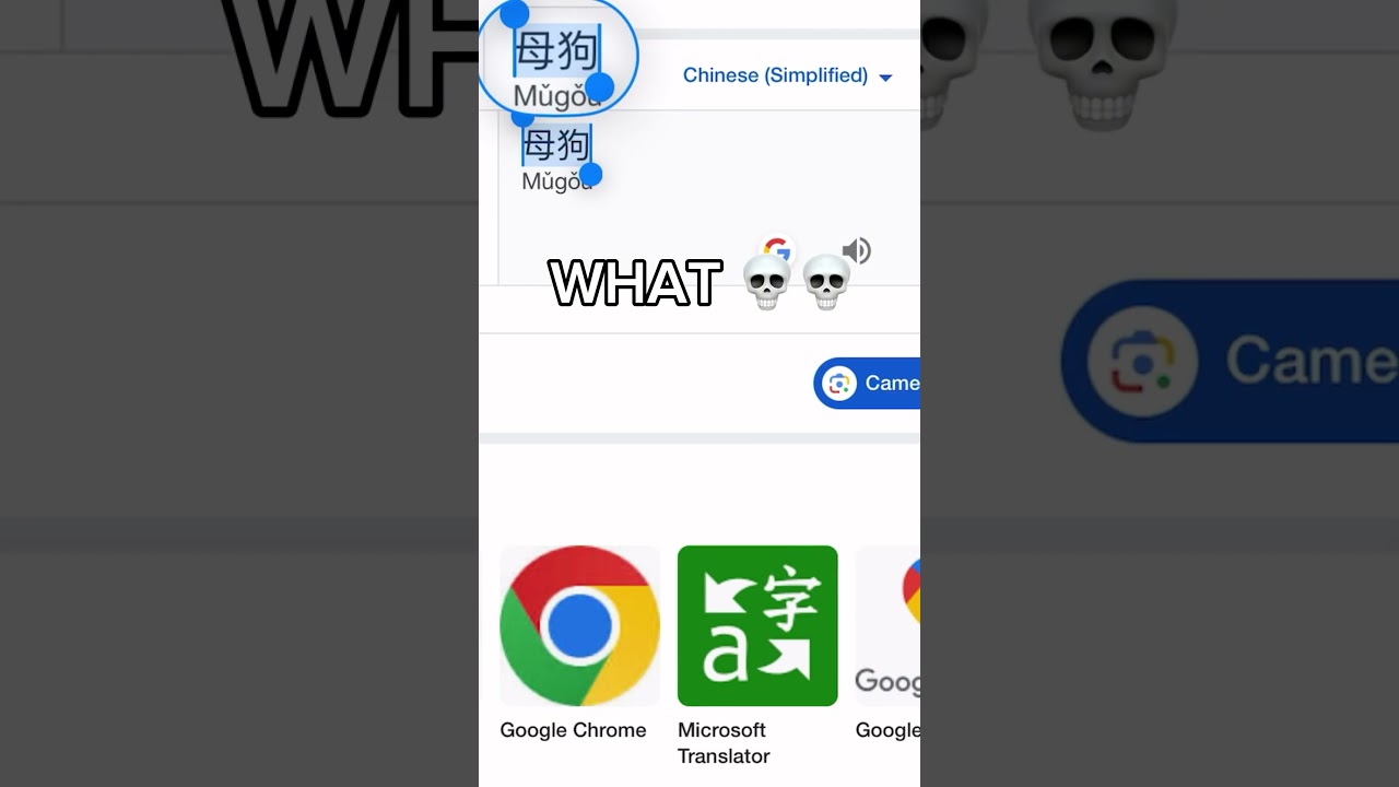 GOOGLE TRANSLATE IS TRIPPIN DUDE 💀💀💀 #shorts #fyp #funny #google