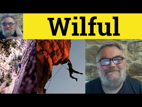 ๐ Willful Meaning - Wilful Defined - Willful Examples - Wilful Definition - Willful Wilful
