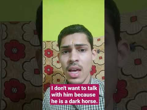 Meaning of "a dark horse".