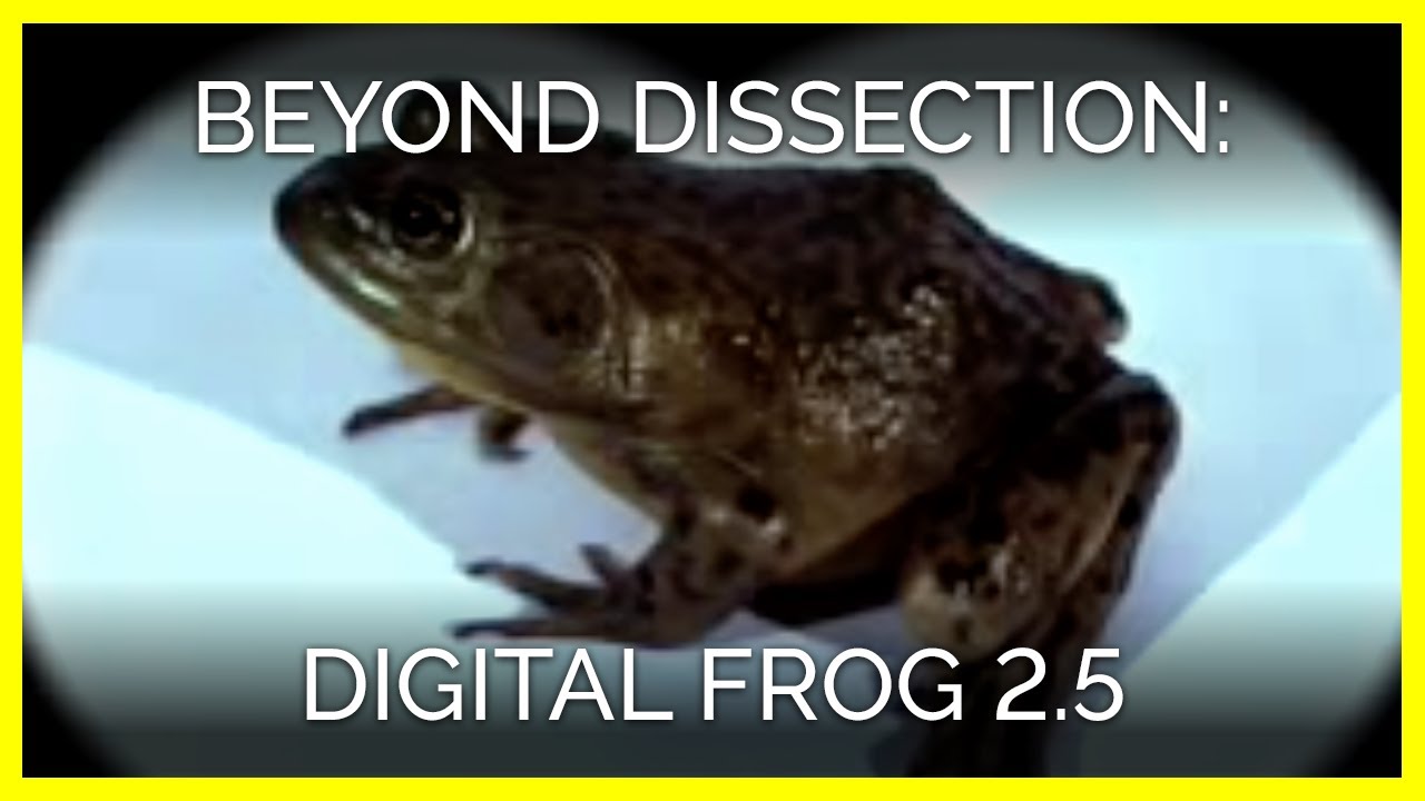Beyond Dissection: Digital Frog 2.5