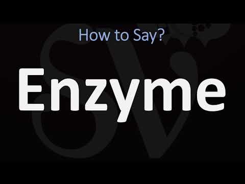 How to Pronounce Enzyme? (CORRECTLY)