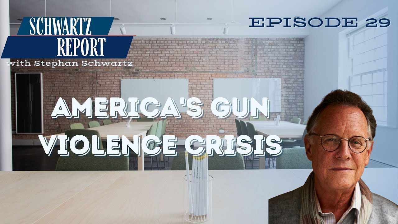 America's Gun Violence Crisis | Schwartz Report Episode 29